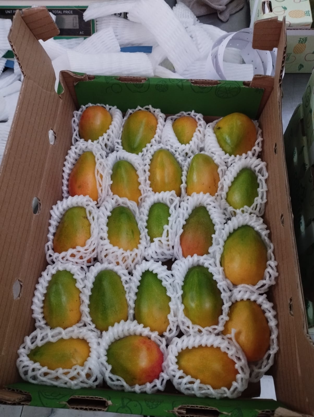 Sugar Mango - Colgreens